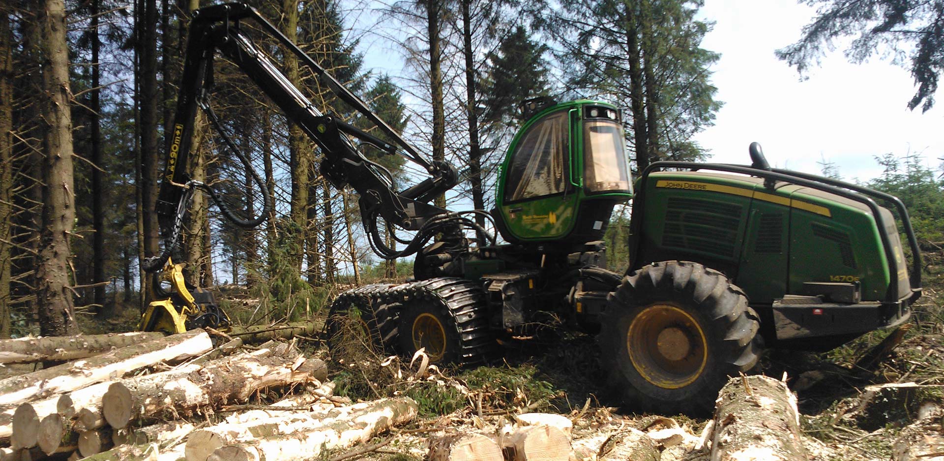 About – Roland Forestry